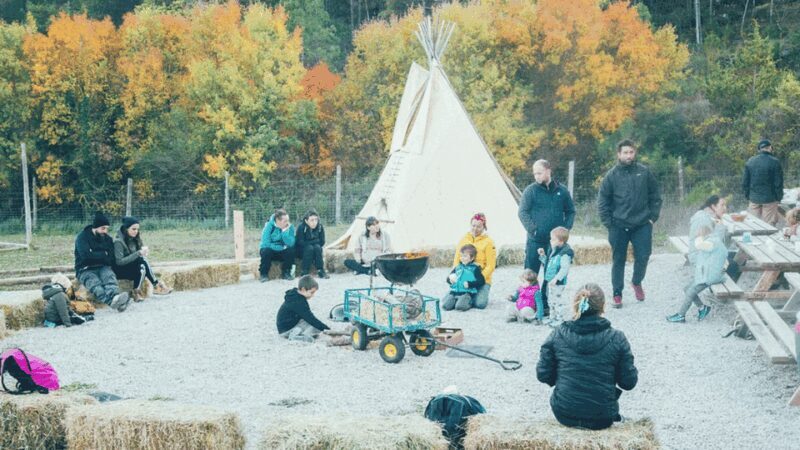 Wild Forest Reserve Foundation - Caregiver for a day - What Makes This Tour Special?