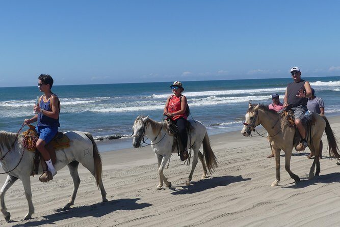 Wild & Free: Lagoon Boat, Beach Horseback, Crocs & Turtle Release - Returning and Wrap-up