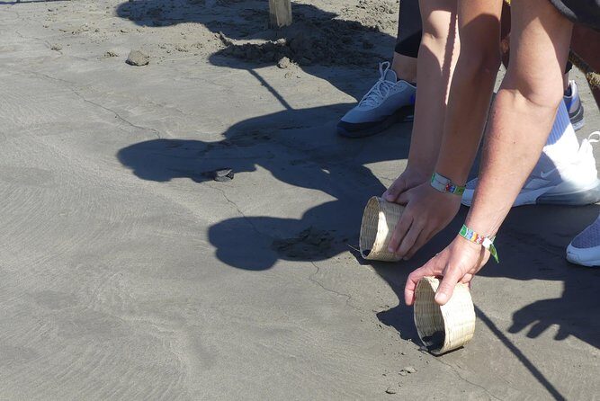 Wild & Free: Lagoon Boat, Beach Horseback, Crocs & Turtle Release - Practical Considerations for Travelers