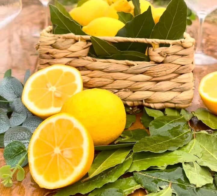 Wild Fruit Picking Experience at Hani i Qerosit - Practical Details and Considerations