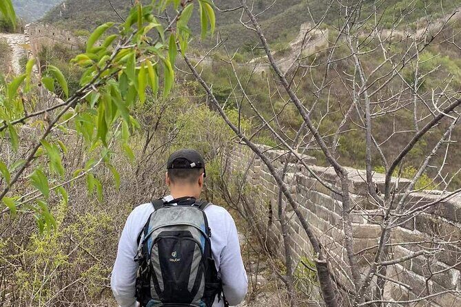 Wild Great Wall Hikes - An In-Depth Look at the Wild Great Wall Hikes