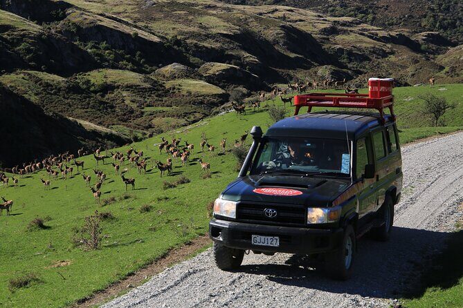 Wild Hills Off Road Safari - FAQ: Your Questions Answered