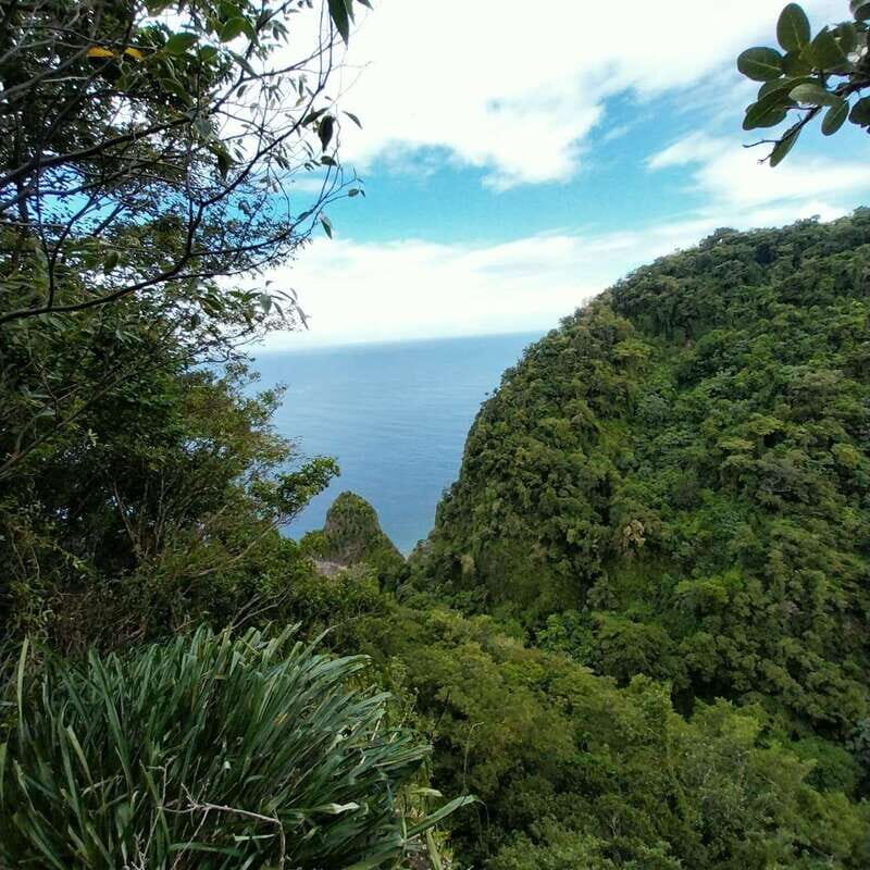 Wild Immersion : Hiking in the Heart of the Tropical Forest - Balancing the Experience