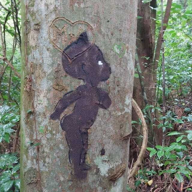 Wild Immersion : Hiking in the Heart of the Tropical Forest - Final thoughts: Who is this tour best suited for?