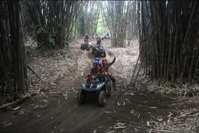 Wild Jungle Expedition: Jungle Hopper & Quad ATV Adventure - Overview of What You Can Expect