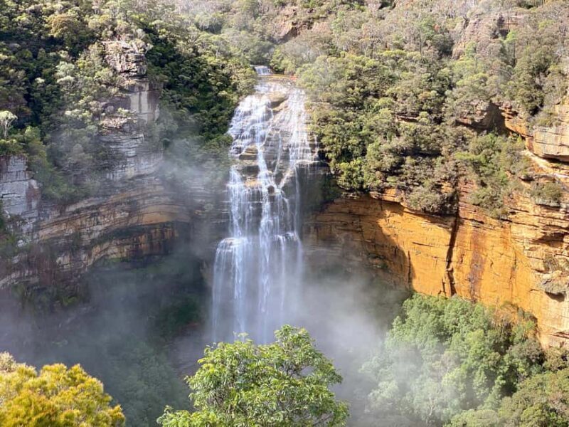 Wild Kangaroos & Blue Mountains private tour - An In-Depth Look at the Tour Experience