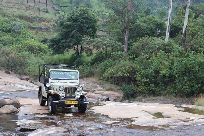 Wild Life Anakulam Jeep Safari - Authentic Encounters and the Real Experience