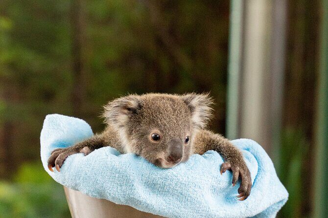 WILD LIFE Sydney Entrance Ticket - Who Should Visit WILD LIFE Sydney?