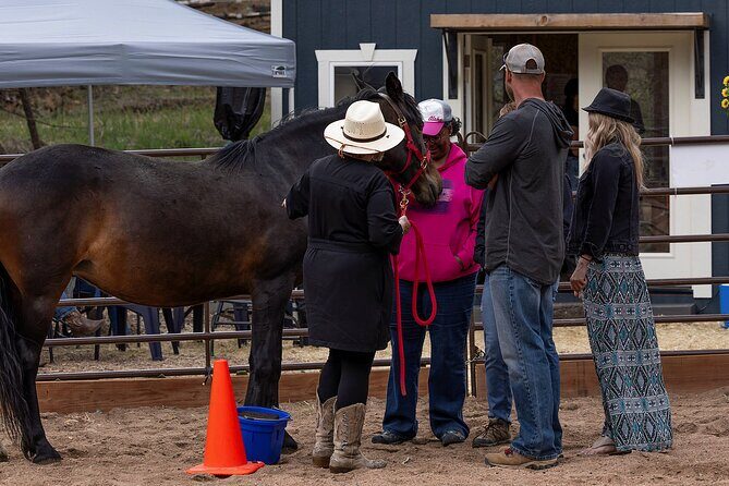 Wild Mustang Experience Near Colorado Springs - Key Points