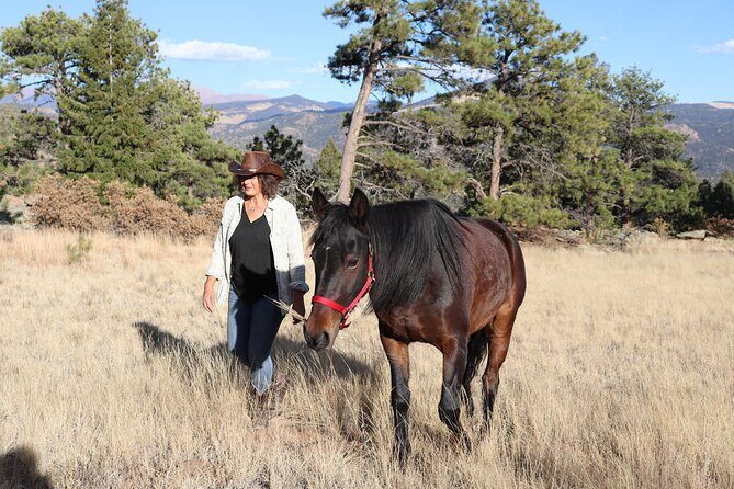 Wild Mustang Experience Near Colorado Springs - Detailed Breakdown of the Experience
