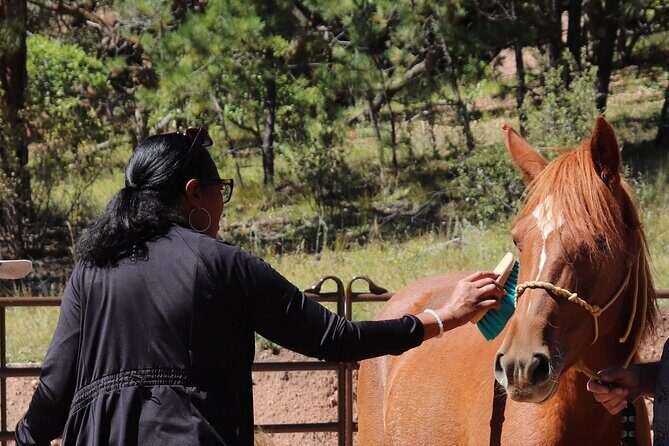 Wild Mustang Experience Near Colorado Springs - Authentic Experiences and What People Say
