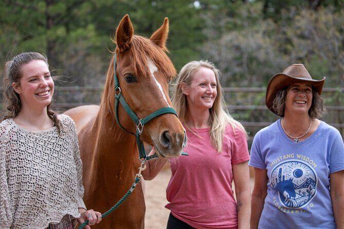 Wild Mustang Experience Near Colorado Springs - FAQ