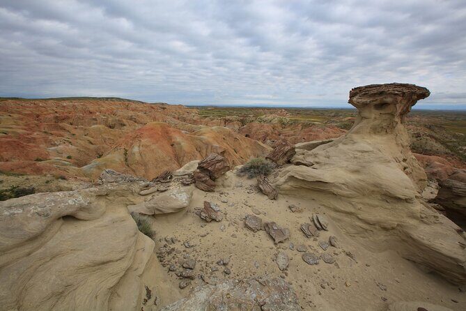 Wild Mustang Half Day Tour - Cody Wyoming - Private - Introduction: An Authentic Wyoming Adventure