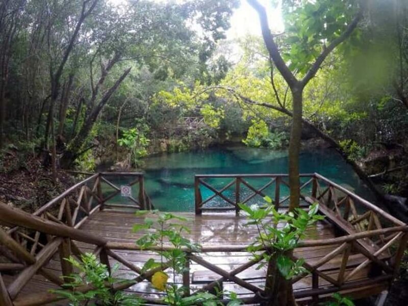 Wild On Punta Cana: Cruise with Snorkeling Half Day - FAQ