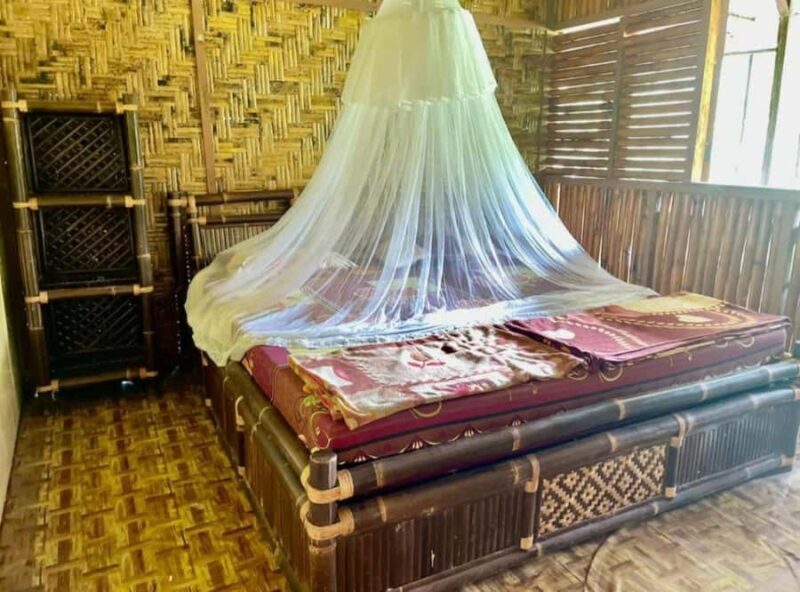 Wild Orangutan Trek: 2-Day Adventure in Gunung Leuser Park - Key Points