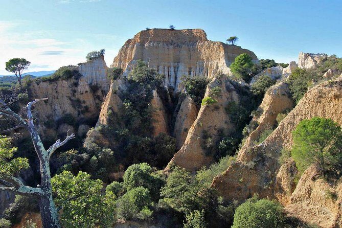 Wild Organs: Grand Landscape, Plants, Geology, Birdsongs - Exploring the Wild Organs Tour: A Deep Dive into Natures Masterpieces in Perpignan