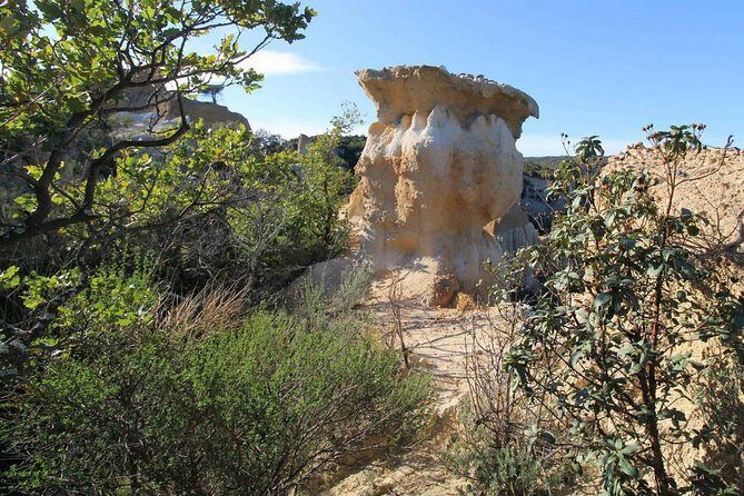 Wild Organs: Grand Landscape, Plants, Geology, Birdsongs - An In-Depth Look at the Itinerary