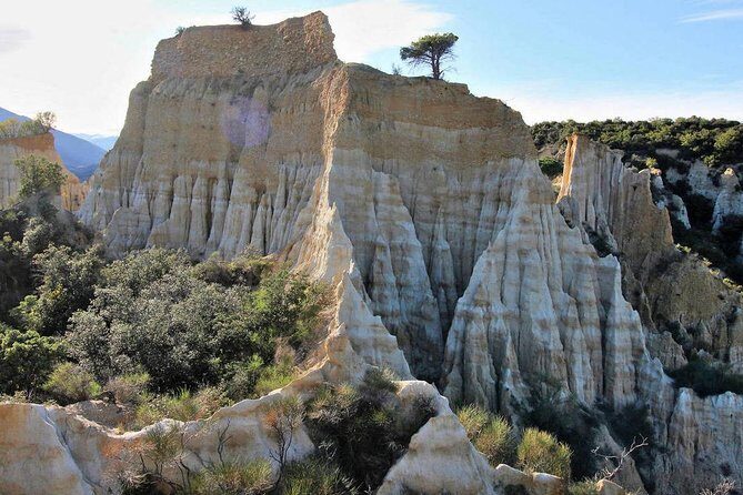 Wild Organs: Grand Landscape, Plants, Geology, Birdsongs - Why This Tour Might Be Perfect for You