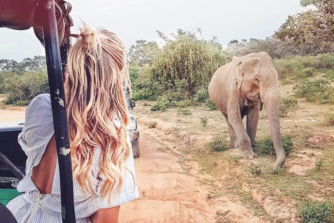 Wild Safari Udawalawe from Mount Lavinia - Key Points