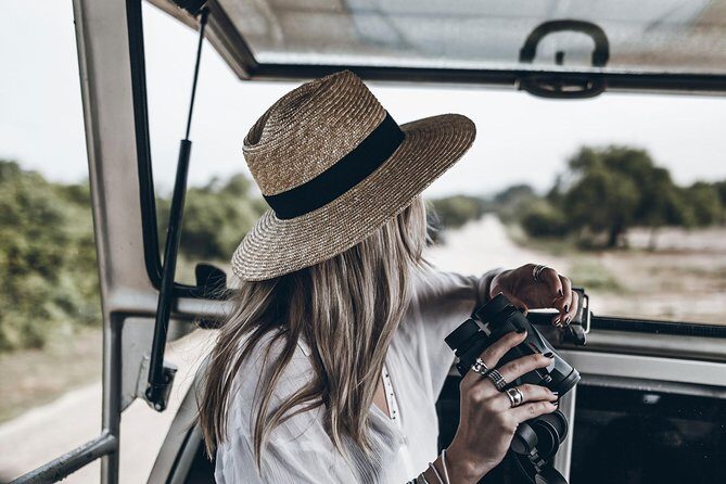 Wild Safari Udawalawe from Mount Lavinia - Return Journey and Reflection