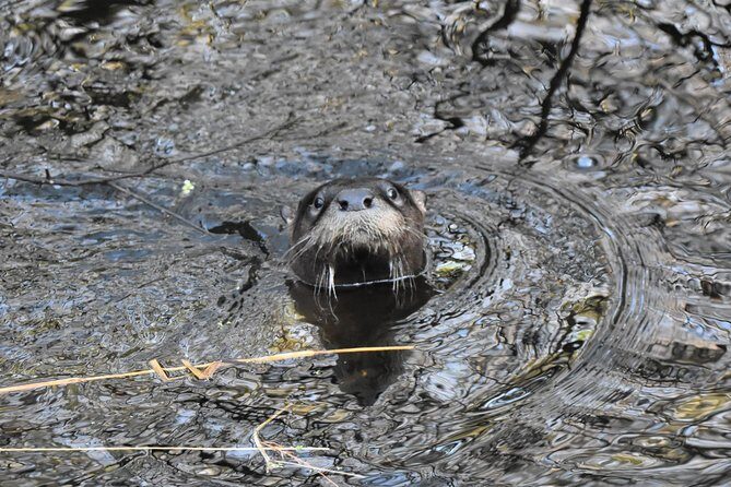 Wild & Scenic Loxahatchee River Guided Tour - An In-Depth Look at the Loxahatchee River Guided Tour