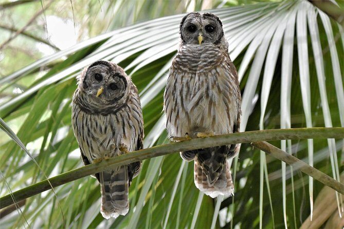 Wild & Scenic Loxahatchee River Guided Tour - FAQs