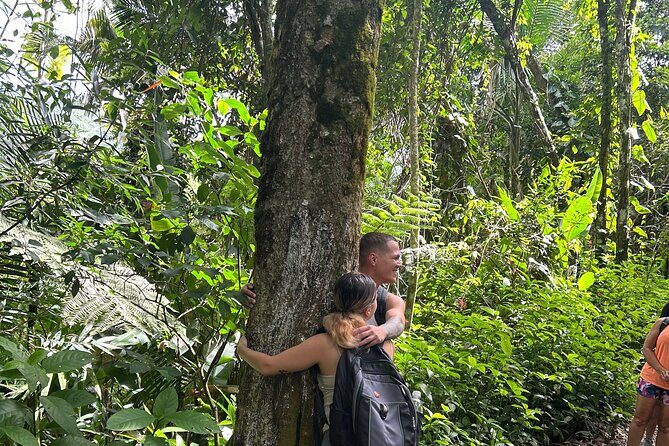 Wild & Scenic Rainforest Nature Walk (Day Time River & Swim) - FAQ