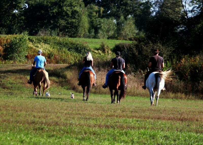 Wild Spring Ranch: Rakovica, Croatia, Horse Riding - The Rural Retreat and Overnight Experience