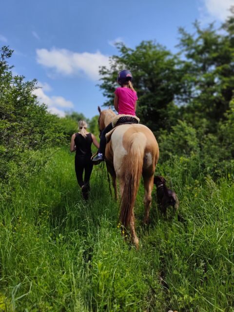 Wild Spring Ranch: Rakovica, Croatia, Horse Riding - What Reviewers Say