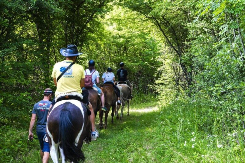 Wild Spring Ranch: Rakovica, Croatia, Horse Riding - Analyzing the Value