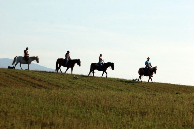 Wild Spring Ranch: Rakovica, Croatia, Horse Riding - The Sum Up: Who Should Consider This Adventure?