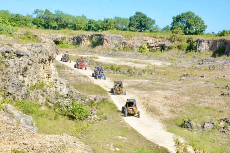 Wild Tiger Buggy: The Best Buggy Excursions in Punta Cana - FAQ