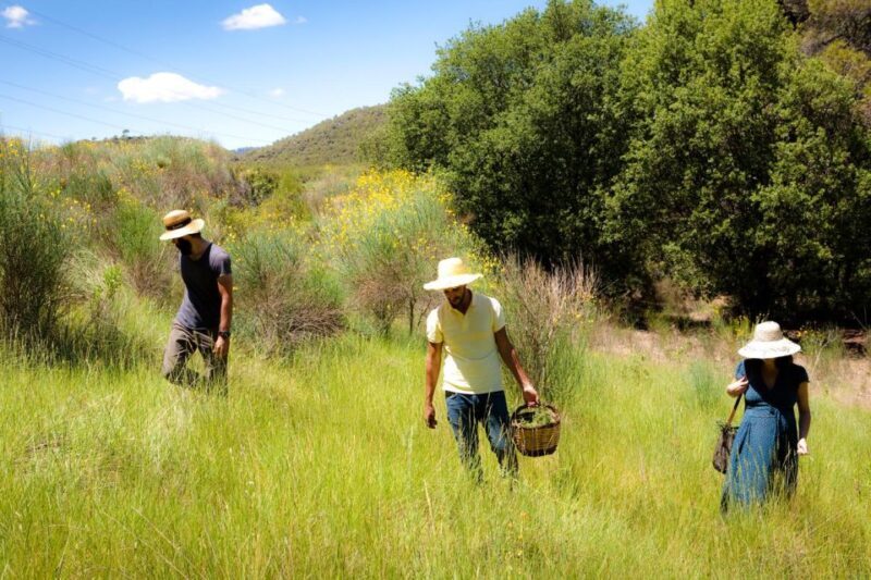 Wild walk: discover the local wild flora - A detailed look at the Wild Walk experience