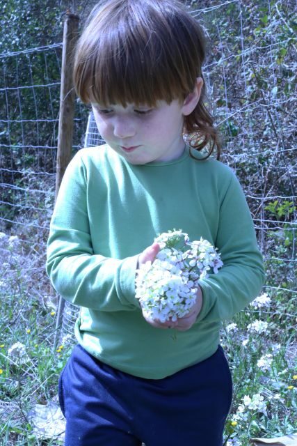 Wild walk: discover the local wild flora - Practical considerations