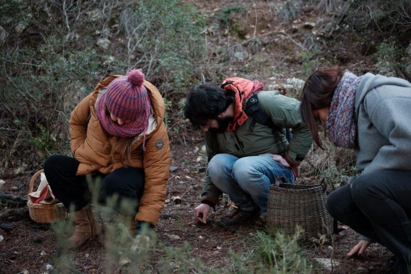 Wild walk: discover the local wild flora - FAQ