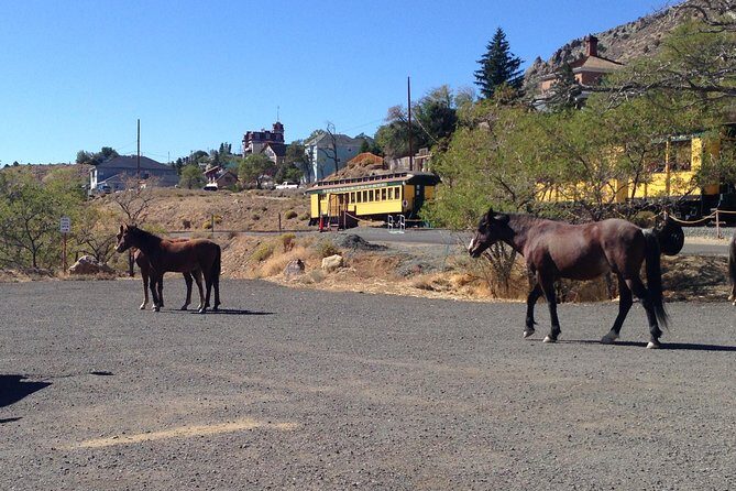 Wild West Day Trip to Virginia City from Tahoe with Train Ride - Practical Tips for Travelers