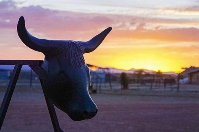 Wild West Sunset Horseback Ride with Dinner from Las Vegas - Who Will Love This Tour?