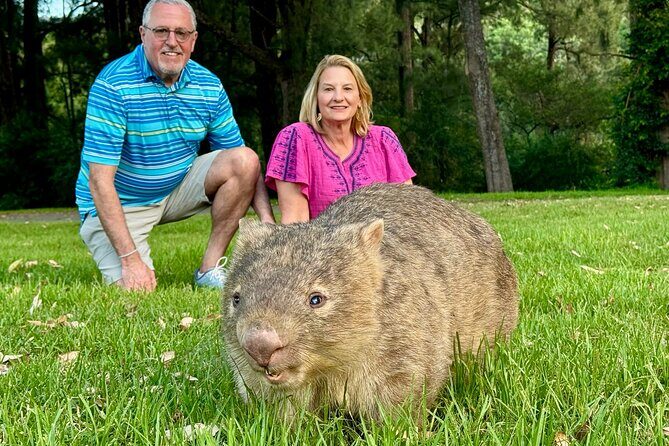 WILD Wombat and Kangaroo Day Tour, All Inclusive - Introduction: Your Best Day Out in Nature Near Sydney