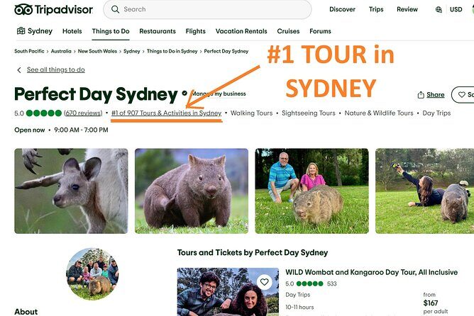 WILD Wombat and Kangaroo Day Tour, All Inclusive - Key Points