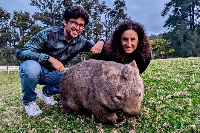 WILD Wombat and Kangaroo Day Tour, All Inclusive - The Sum Up: Who Will Love This Tour?
