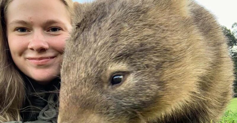 WILD Wombats and Kangaroo Experience, All Inclusive, Sydney - Introduction: An Authentic Aussie Wildlife Day in Sydney