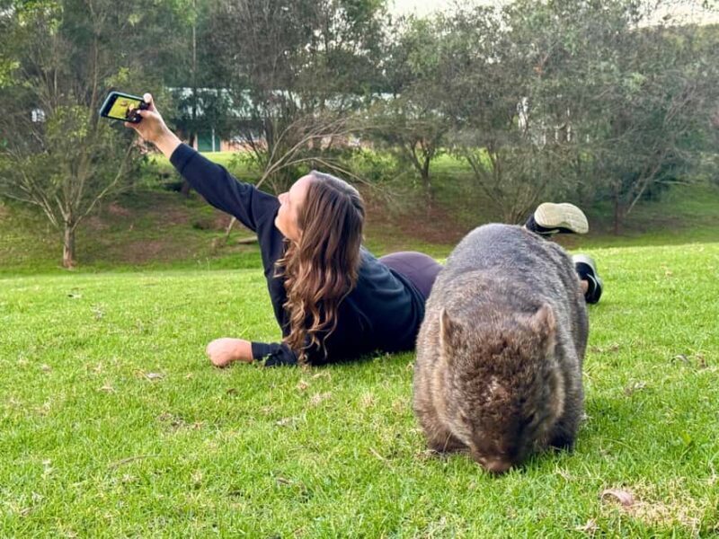 WILD Wombats and Kangaroo Experience, All Inclusive, Sydney - What the Tour Provides and Why It Offers Good Value