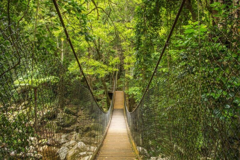 WILD Wombats and Kangaroo Experience, All Inclusive, Sydney - The Experience of the Waterfalls and Scenic Views