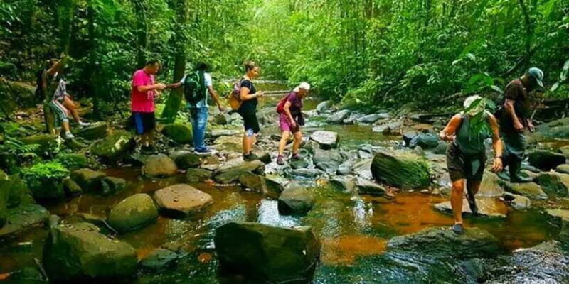 Wild Wonders (8 Days) - Day 6: Galle Fort & Tea Factory