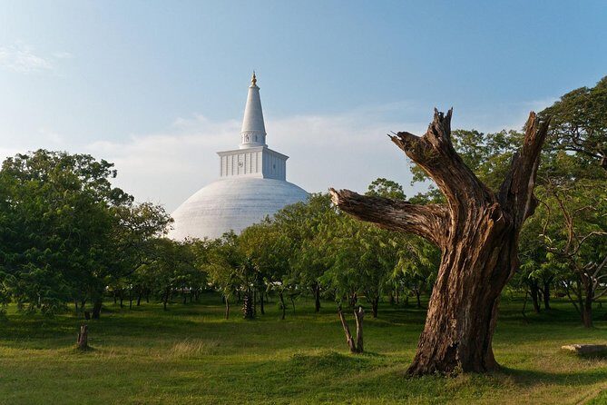 Wild Wonders and Sacred Spaces Tour from Hikkaduwa (2 Days) - Analyzing the Details: A Deep Dive into the Tour