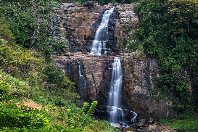 Wild Wonders Of Sri Lanka | 7 Days - Day 1: Arrival and Transfer to Sinharaja