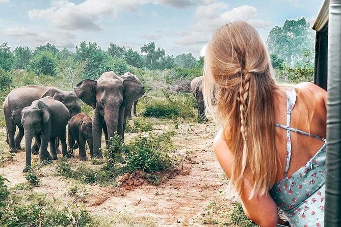 Wild Wonders Of Sri Lanka | 7 Days - Day 5: Birdwatching at Kalamatiya Bird Sanctuary