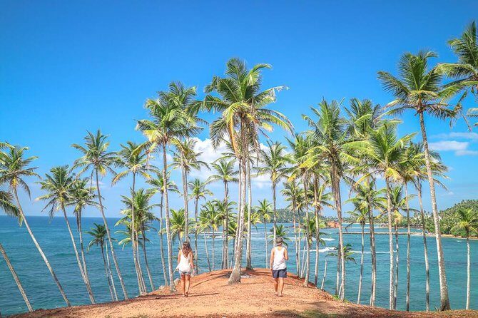 Wild Wonders Of Sri Lanka | 7 Days - Day 6: Whale Watching and Relaxing on Mirissa Beach