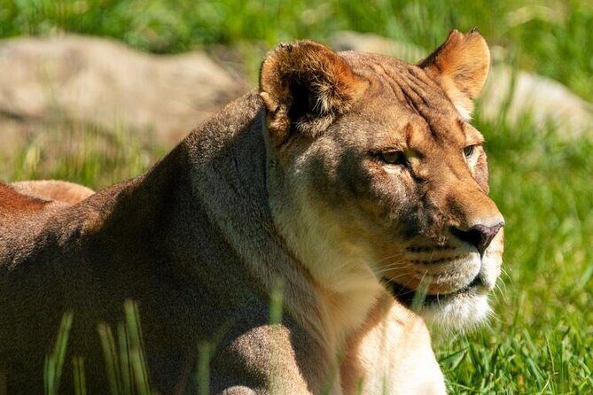 Wilder Institute/Calgary Zoo: Entry Ticket - An Overview of the Calgary Zoo Experience