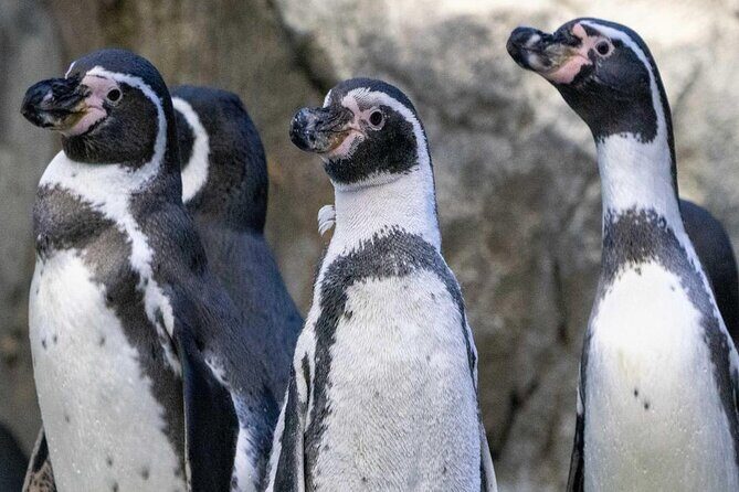 Wilder Institute/Calgary Zoo: Entry Ticket - Practical Tips for Visiting